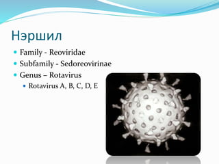 Rotavirus | PPTX