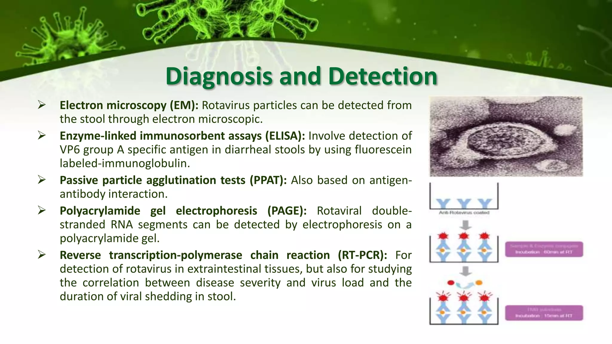 Rotavirus | PPTX