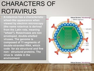RotaVirus -Akash.pdf