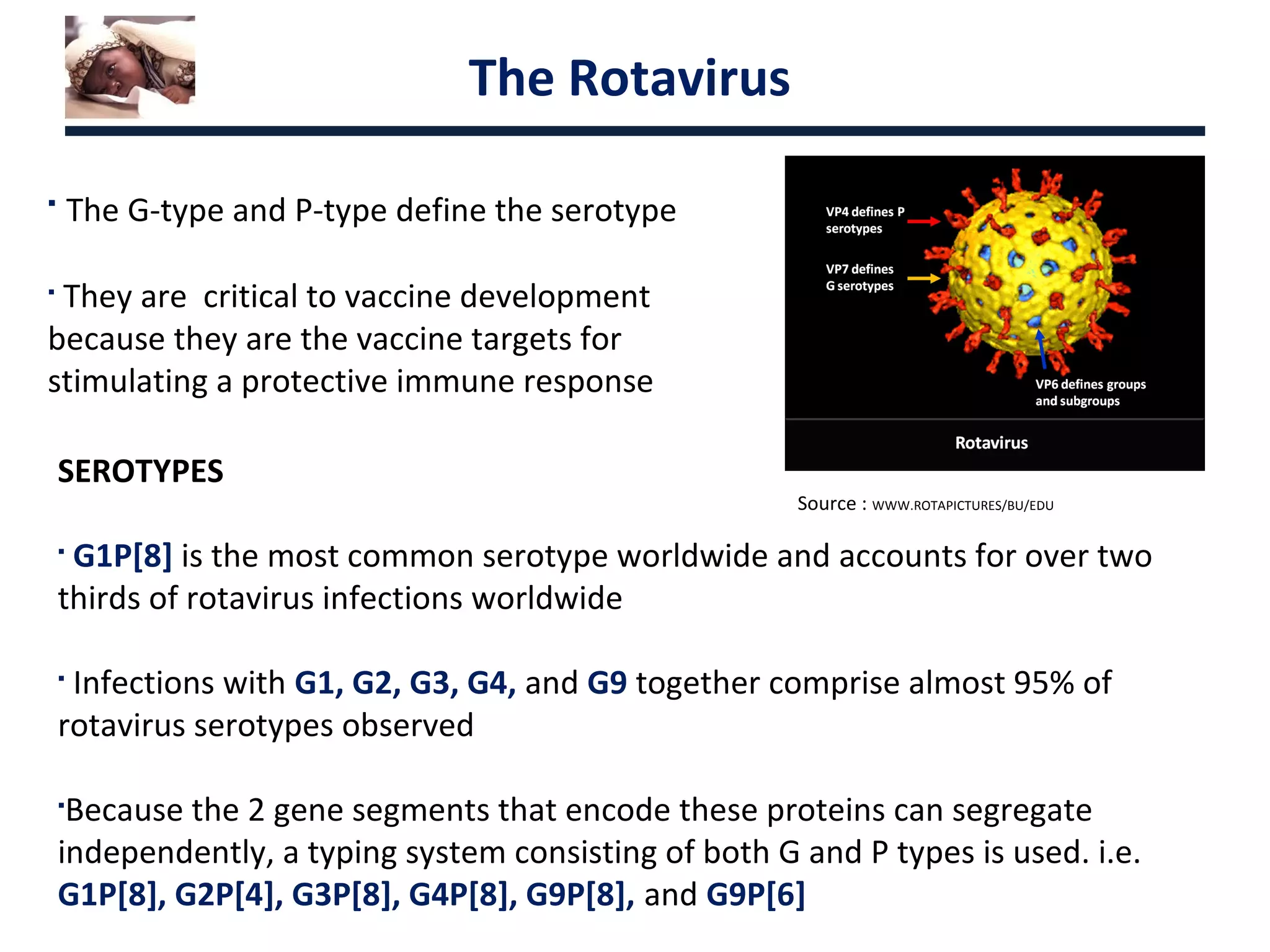 Rotavirus prevention and control | PPT