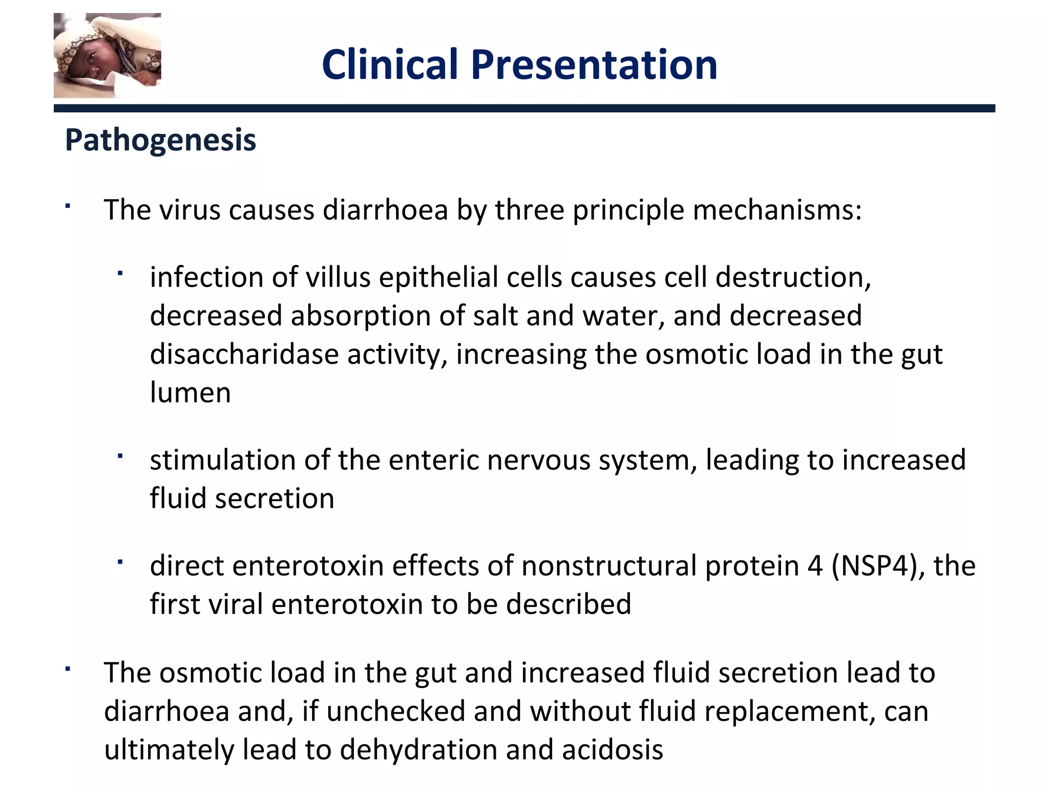 Rotavirus prevention and control | PPT