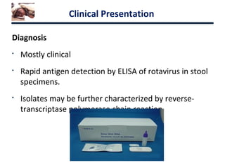Rotavirus prevention and control | PPT