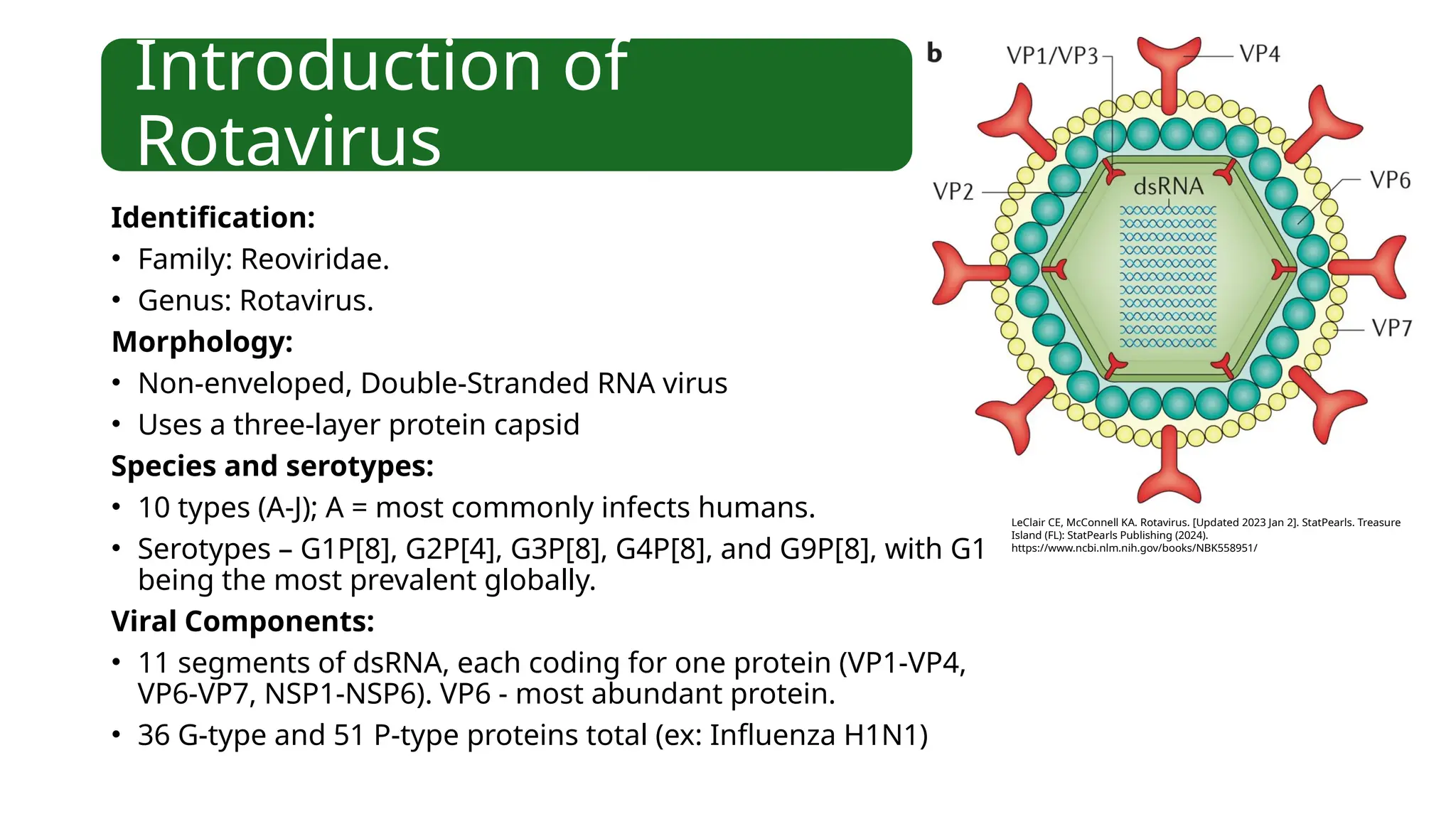 Rotavirus – The Invisible Killer of Infants | PPTX | Infectious ...