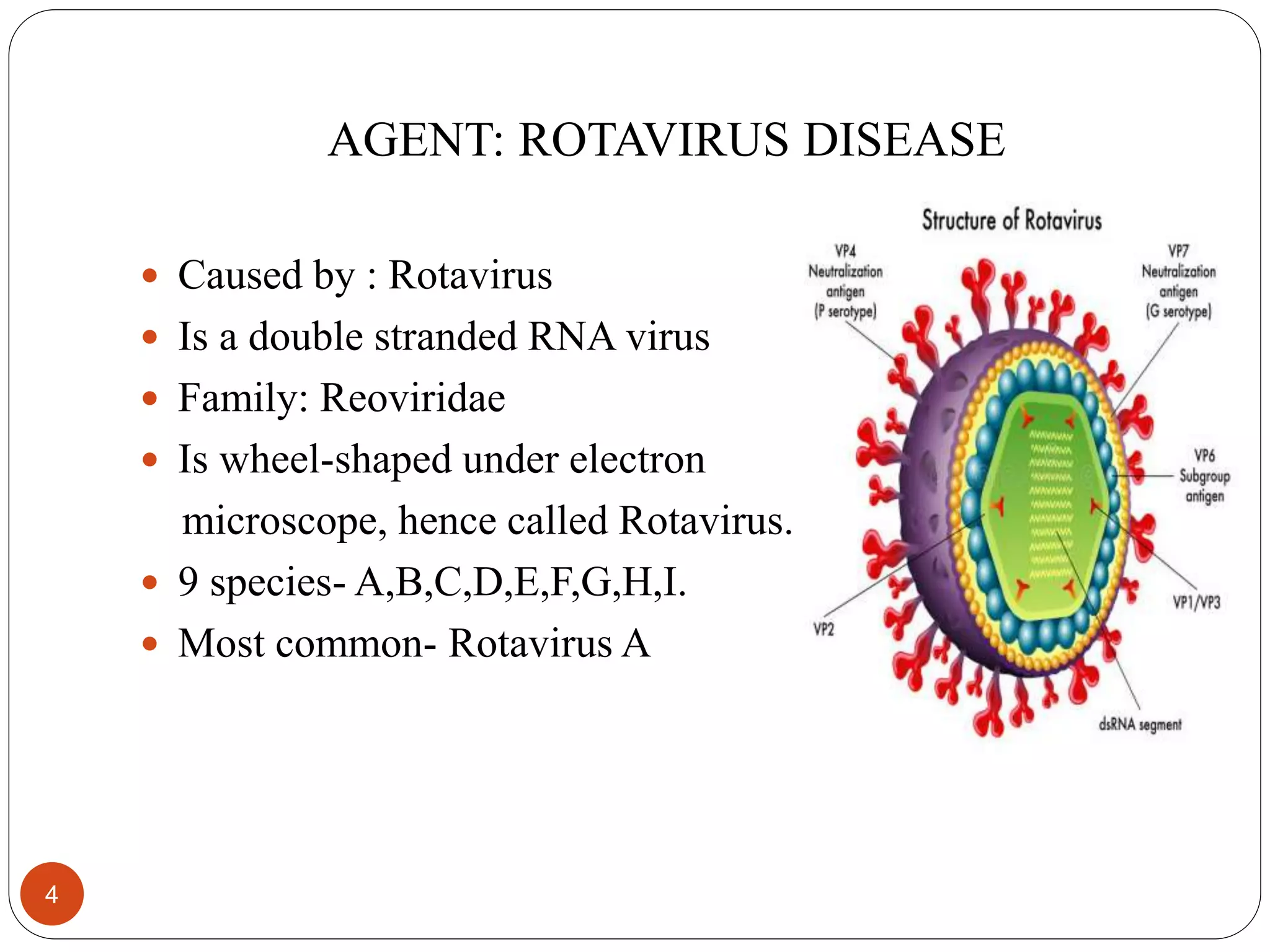 Rota virus vaccine | PPTX