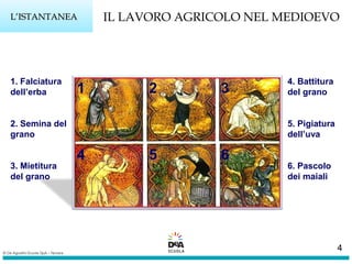 La rotazione delle colture | PPT