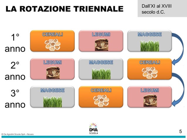 La rotazione delle colture | PPT