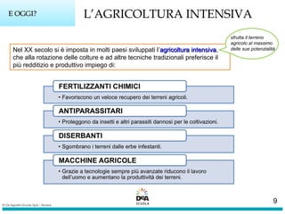 La rotazione delle colture | PPT