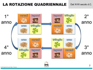 La rotazione delle colture | PPT