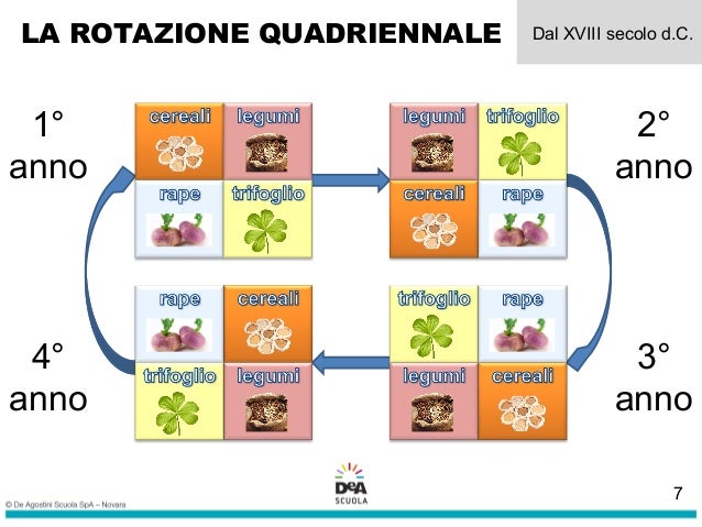 La rotazione delle colture