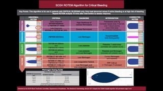 Rotem - A Cook's Tour | PPTX