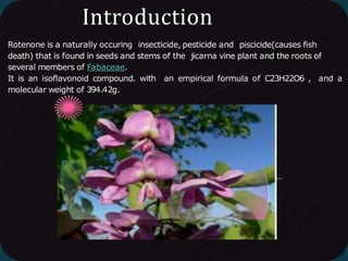 ROTENONE.pptx