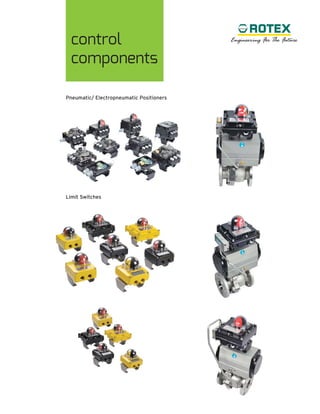 Rotex corporate catalog | PDF