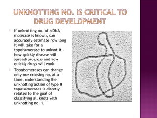 Applications of Knot Theory to DNA | PPT