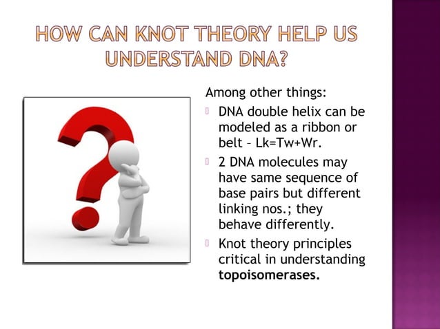Applications of Knot Theory to DNA | PPT | Needlework | Arts and Crafts