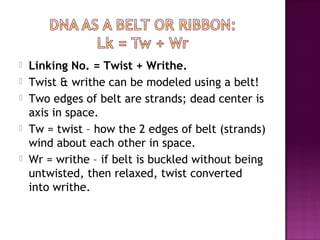 Applications of Knot Theory to DNA | PPT