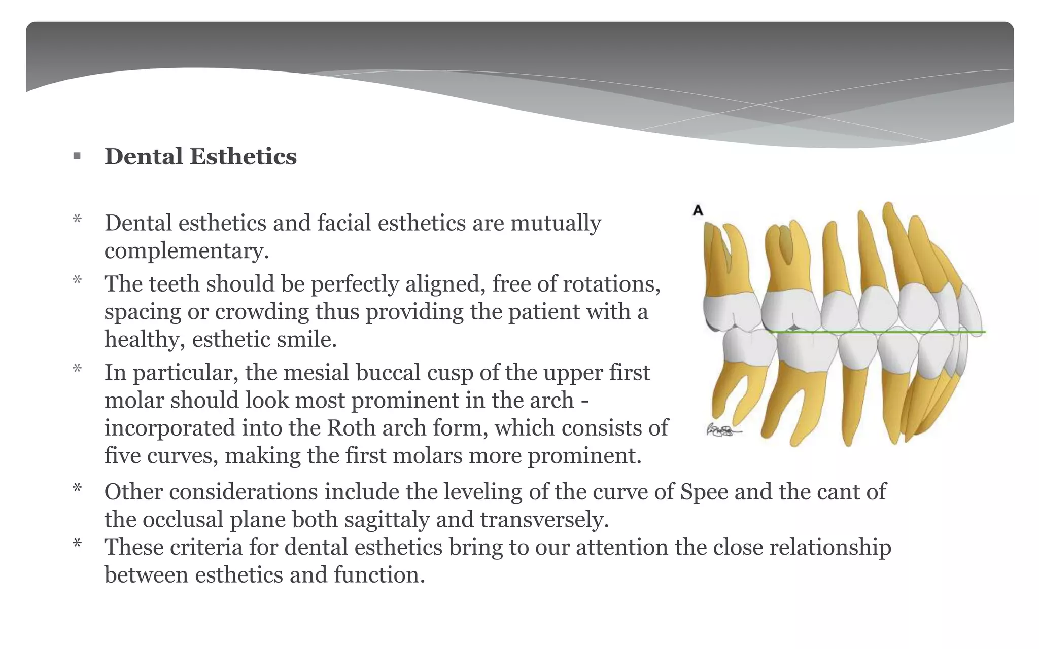 Roth philosophy | PPTX