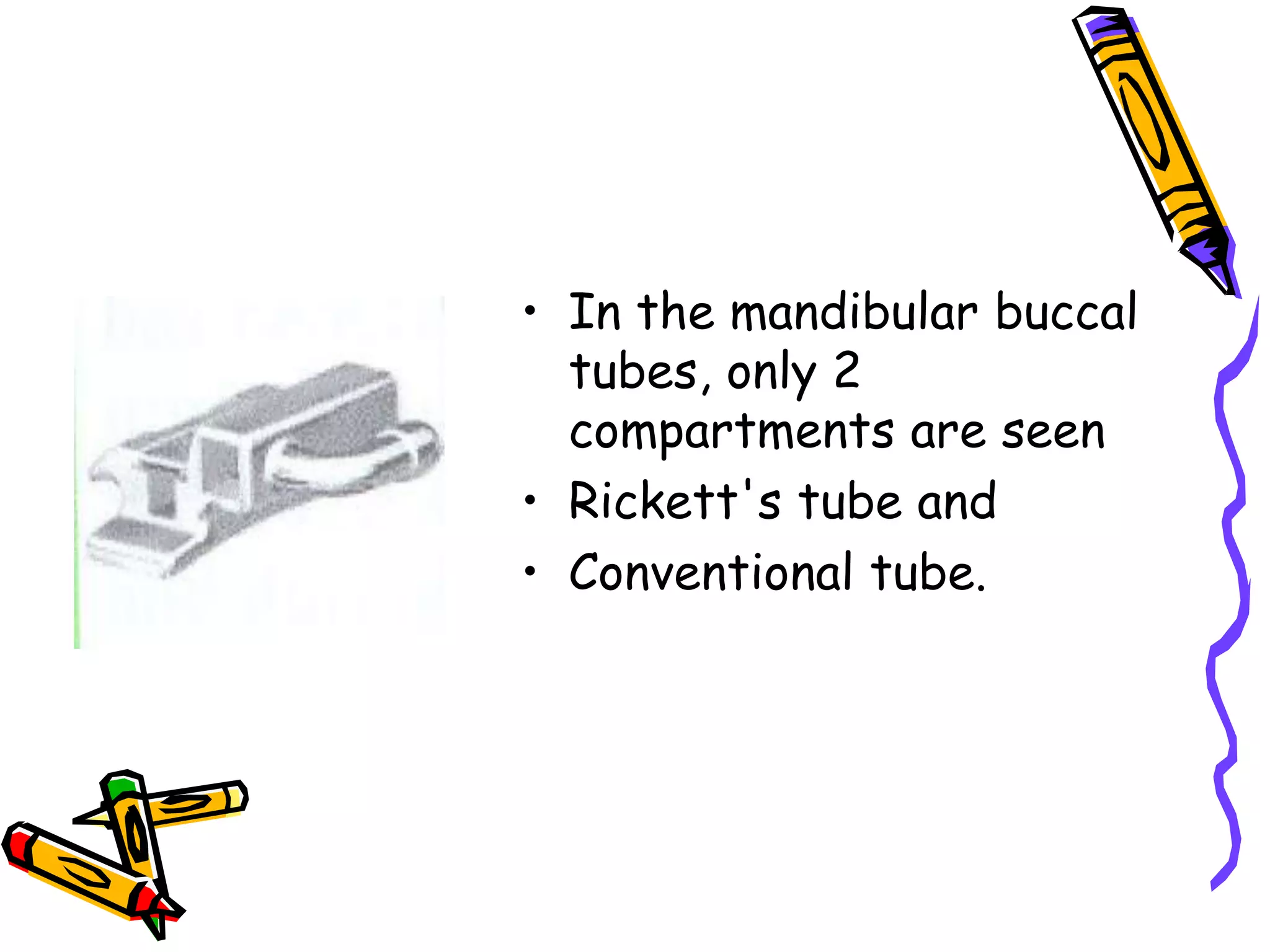 Roth prescription.ppt