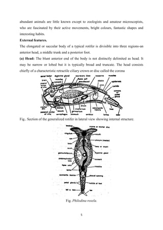 Clear Concept phylum Rotifera | PDF