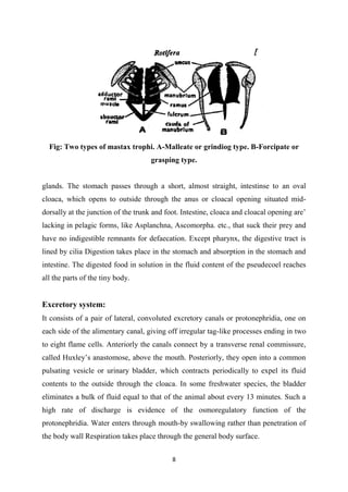 Clear Concept phylum Rotifera | PDF | Zoos & Aquariums | Attractions