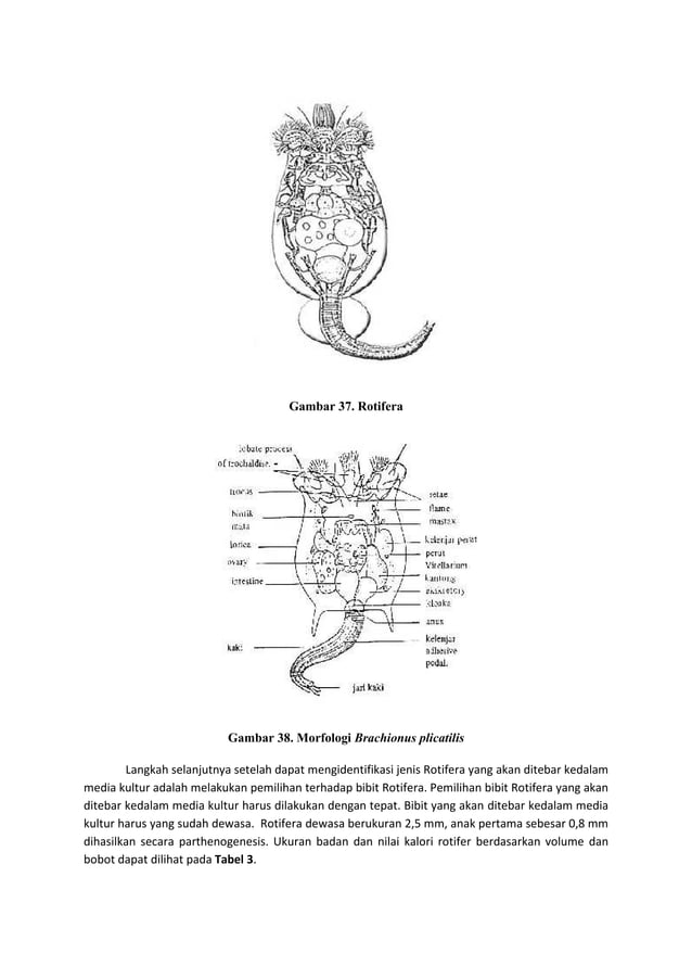 Rotifera.pdf
