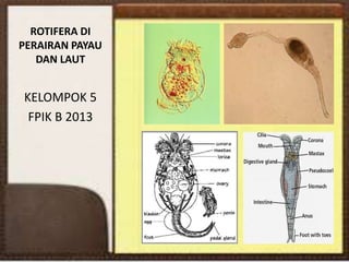 Rotifera di perairan payau dan laut | PPTX
