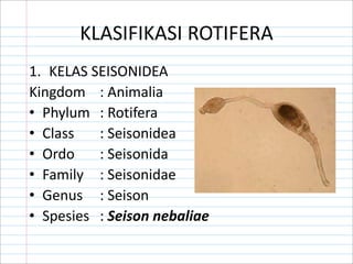 Rotifera di perairan payau dan laut | PPTX