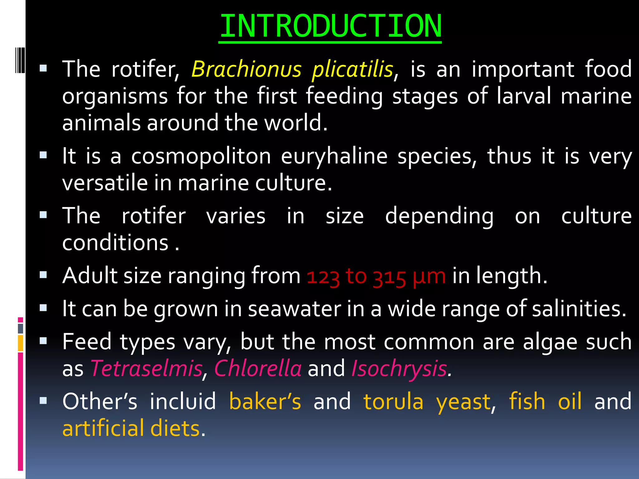 Rotifer culture | PPTX