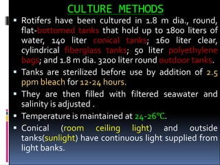 Rotifer culture | PPTX