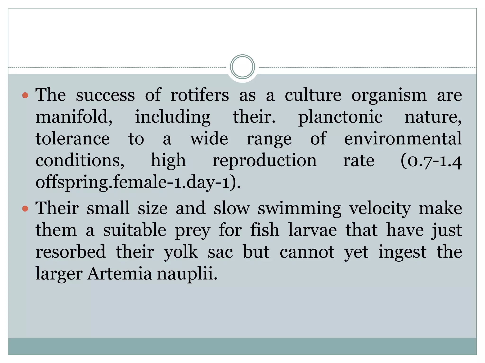 Culture Of Rotifers | PPTX