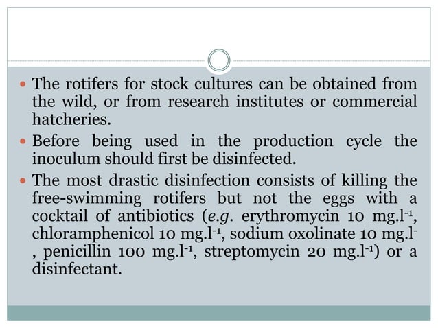 Culture Of Rotifers | PPTX