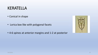 General Introduction of Rotifers | PPTX