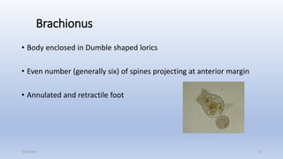 General Introduction of Rotifers | PPTX