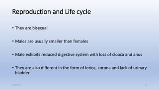 General Introduction of Rotifers | PPTX