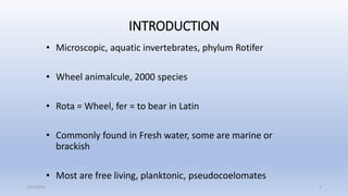 General Introduction of Rotifers | PPTX