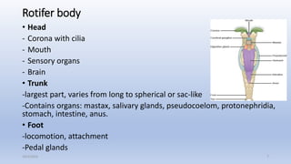 General Introduction of Rotifers | PPTX