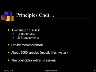 Rotifers By Jiva Amoutha | PPT