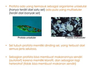 Rangkuman Kecil-Protista | PPT