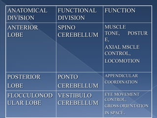 CEREBELLUM & GAIT by Dr ROTO ROBO | PPTX