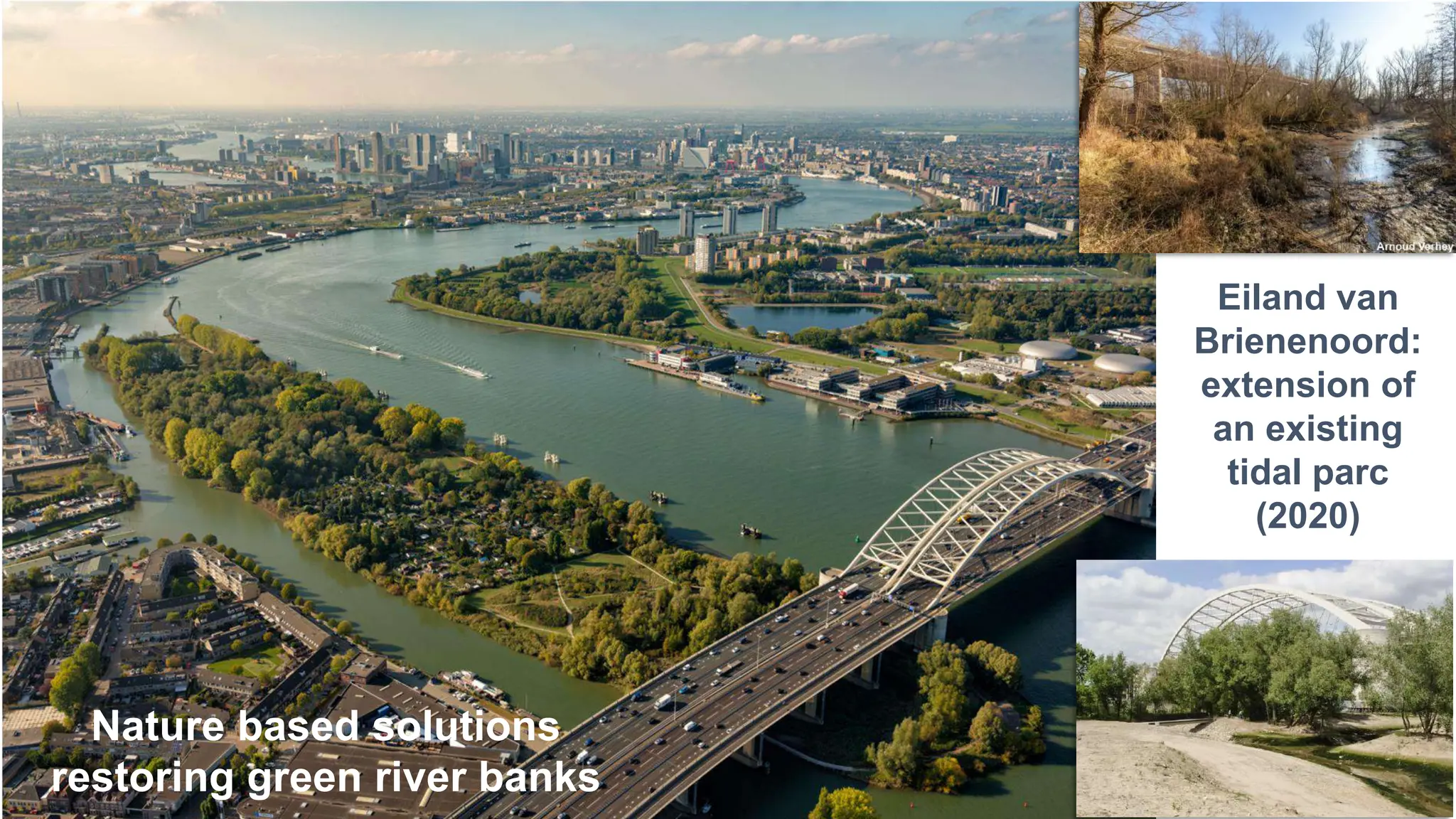 Rotterdam- the way people live among the floods | PDF