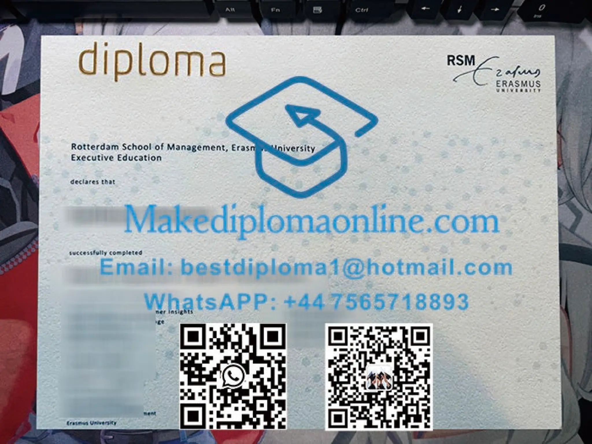 RSM Diploma, Rotterdam School of Management Erasmus University Diploma ...