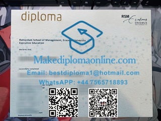 RSM Diploma, Rotterdam School of Management Erasmus University Diploma ...