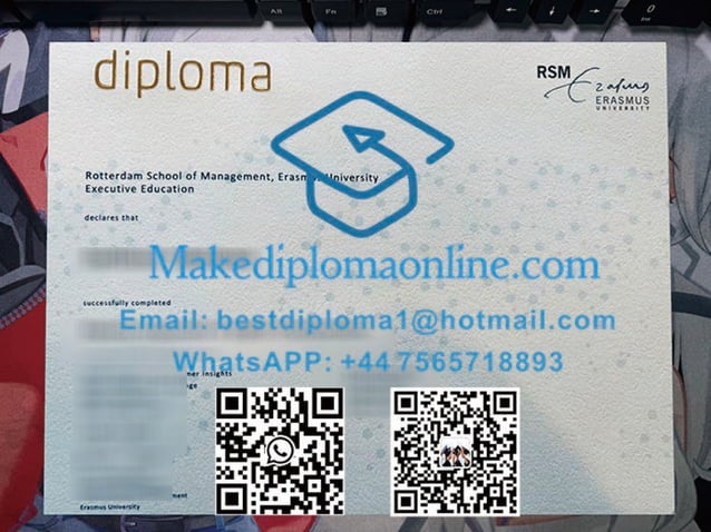 RSM Diploma, Rotterdam School of Management Erasmus University Diploma ...