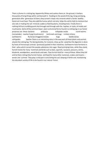 Life within a rotting log | PDF