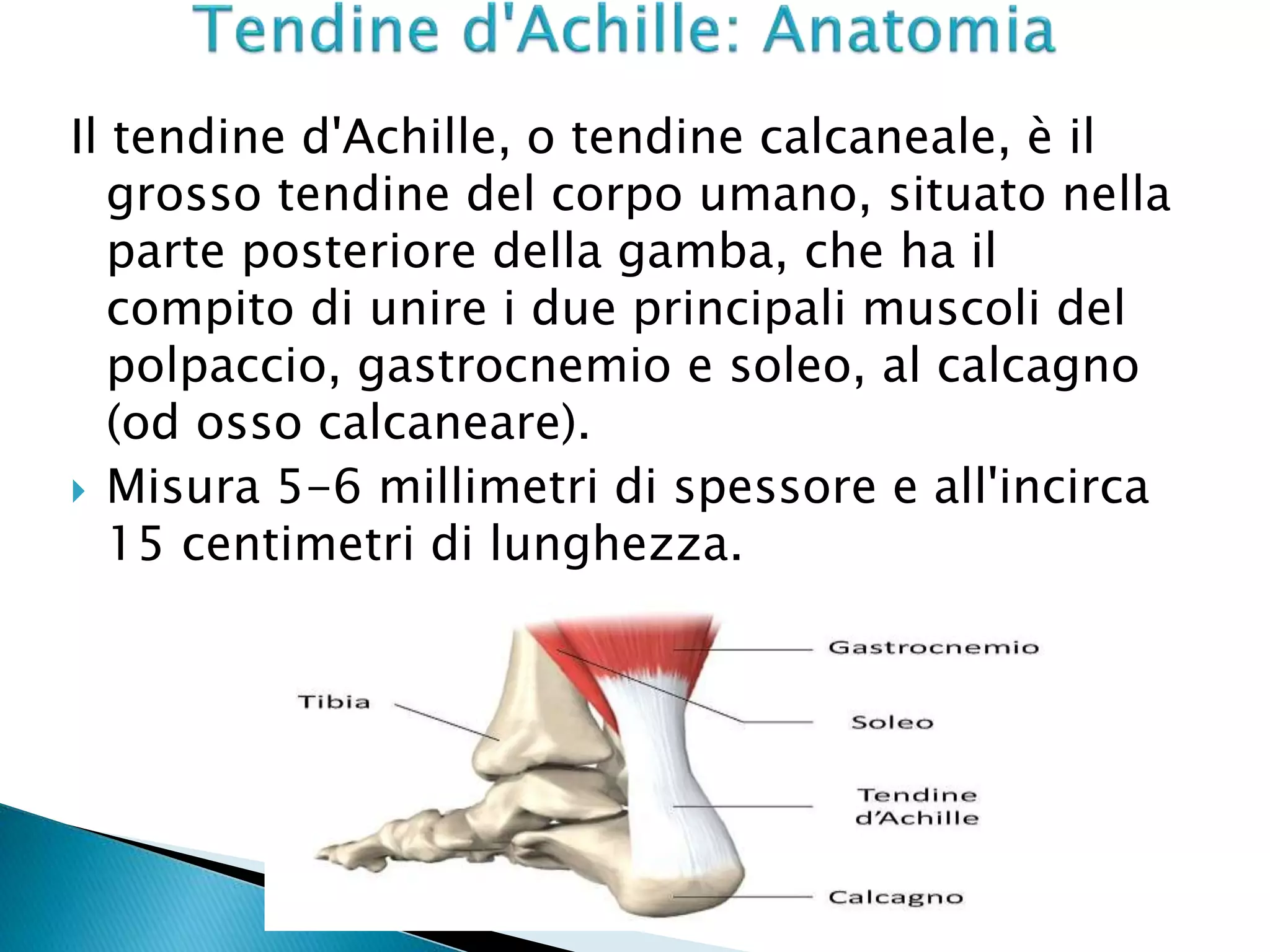 rottura del tendine d'achille.ppt