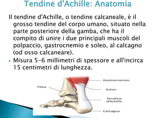 rottura del tendine d'achille.ppt