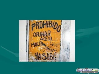 Rotulos Curiosos | PPT