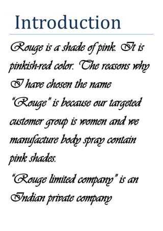Rouge-Marketing project of class 12 | PDF