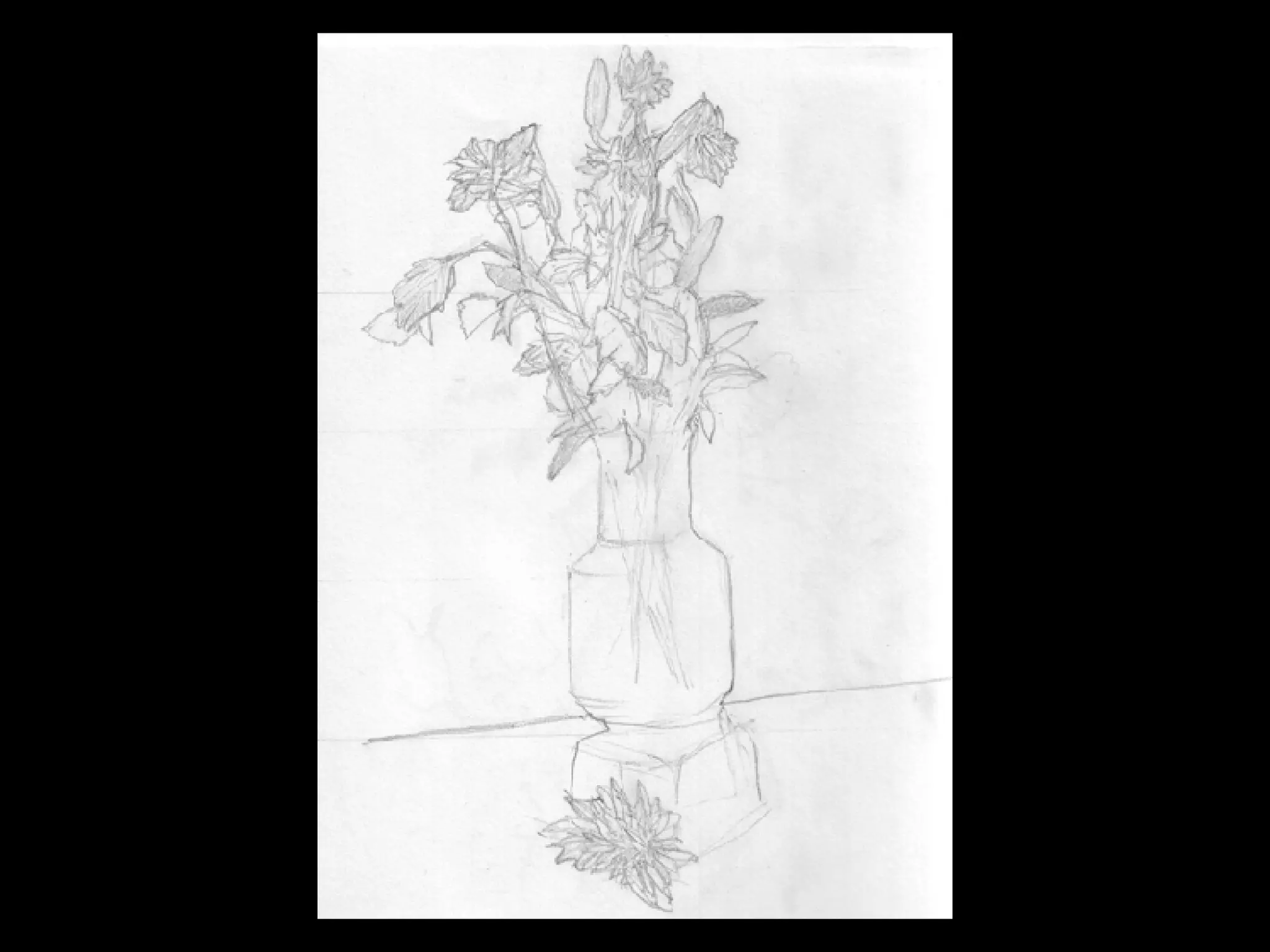 rough sketches | PPT