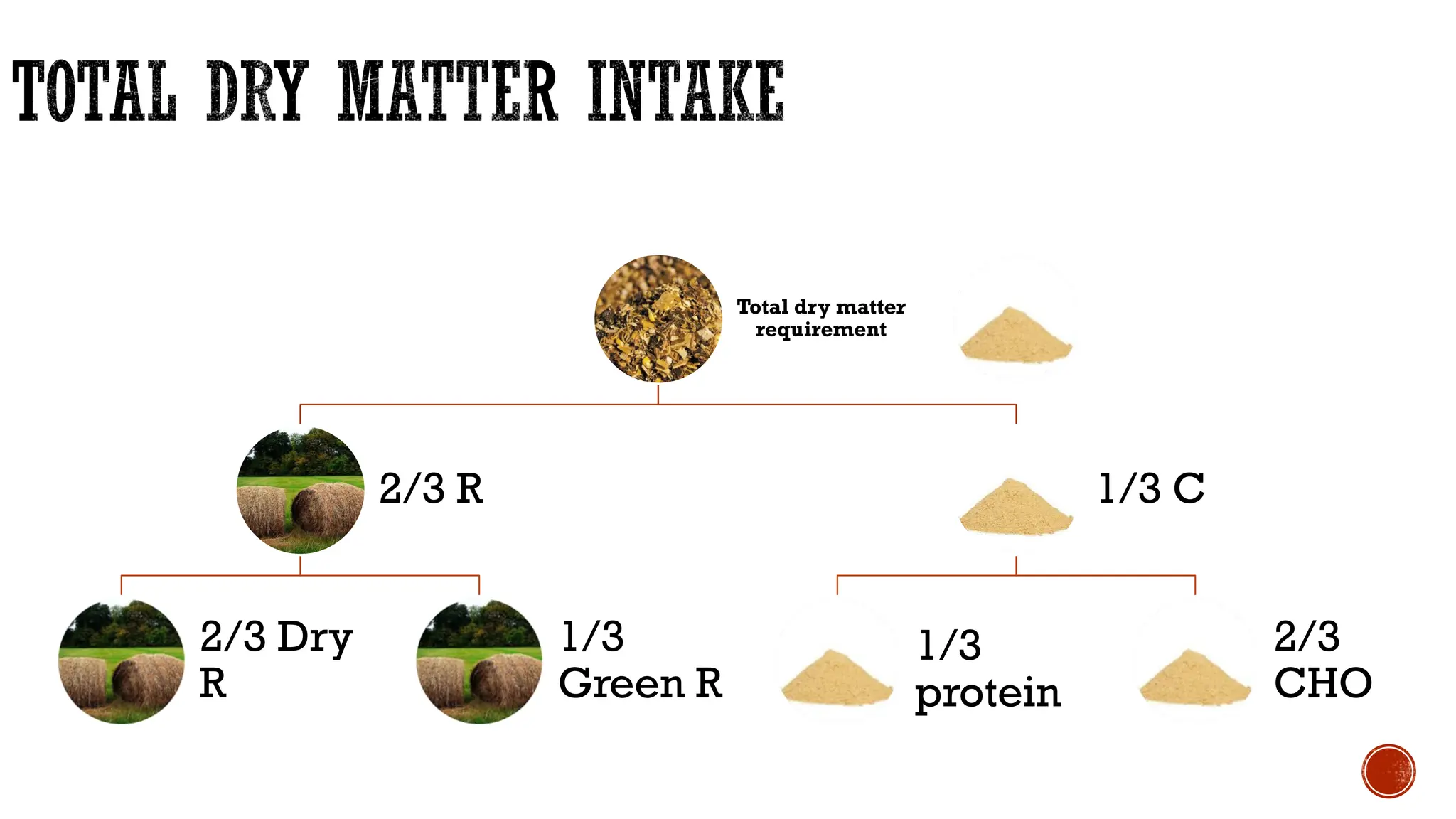 Introduction of Roughages and concentrates | PDF