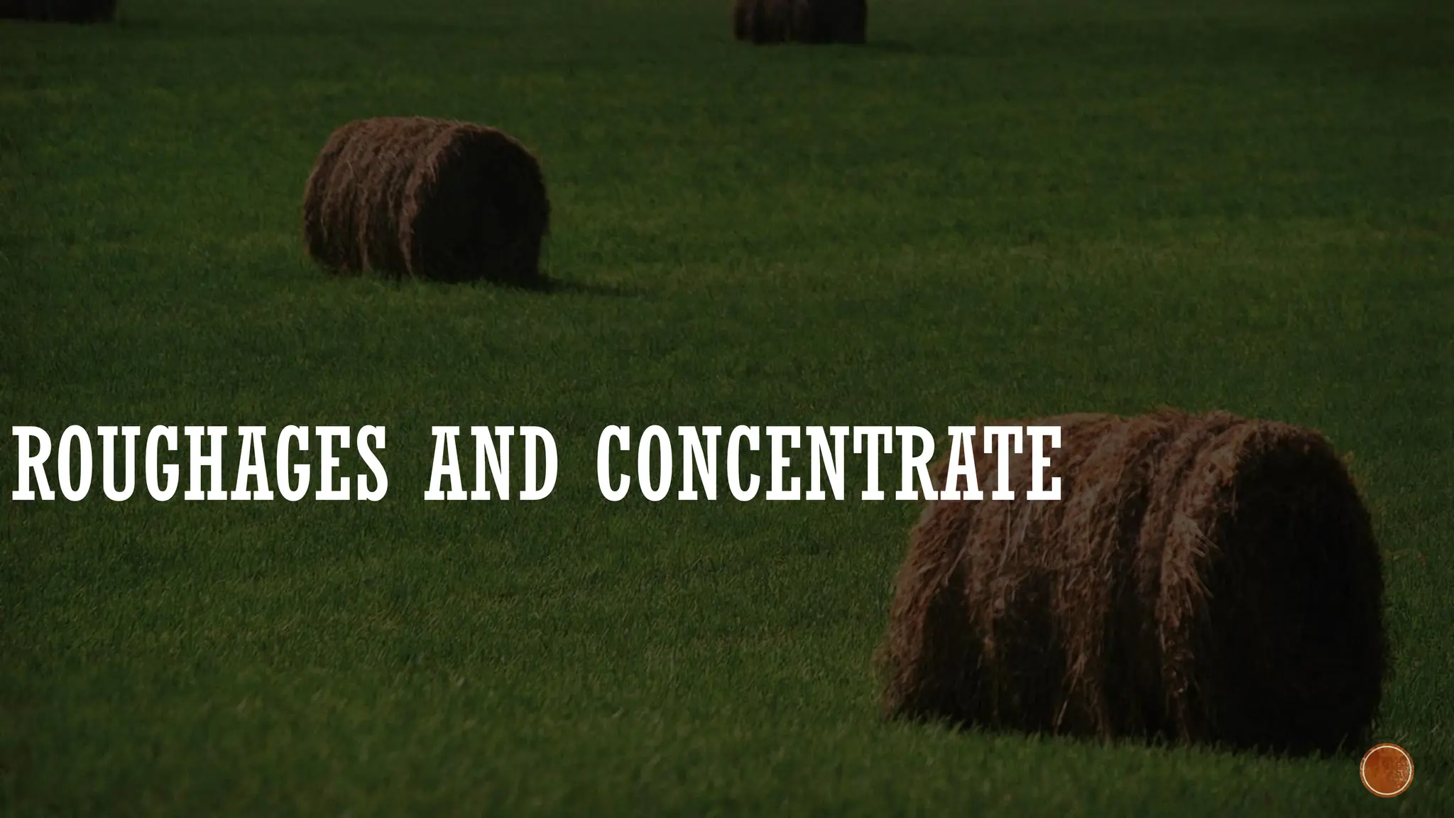 Introduction of Roughages and concentrates | PDF